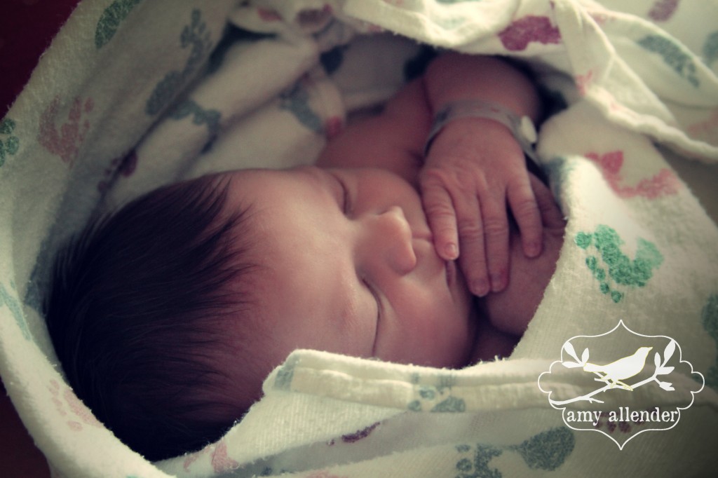 New born wrapped - Amy Allender