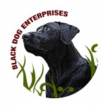 Black Dog Enterprises - Amy Allender