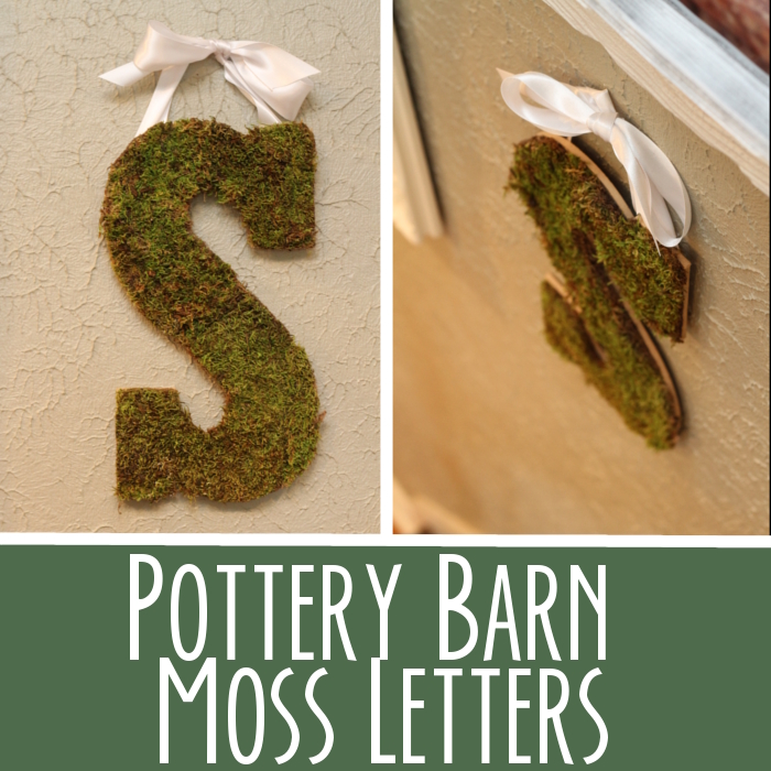 moss letters - Amy Allender
