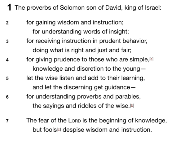 A Beginner’s Guide to Inductive Bible Study - Amy Allender