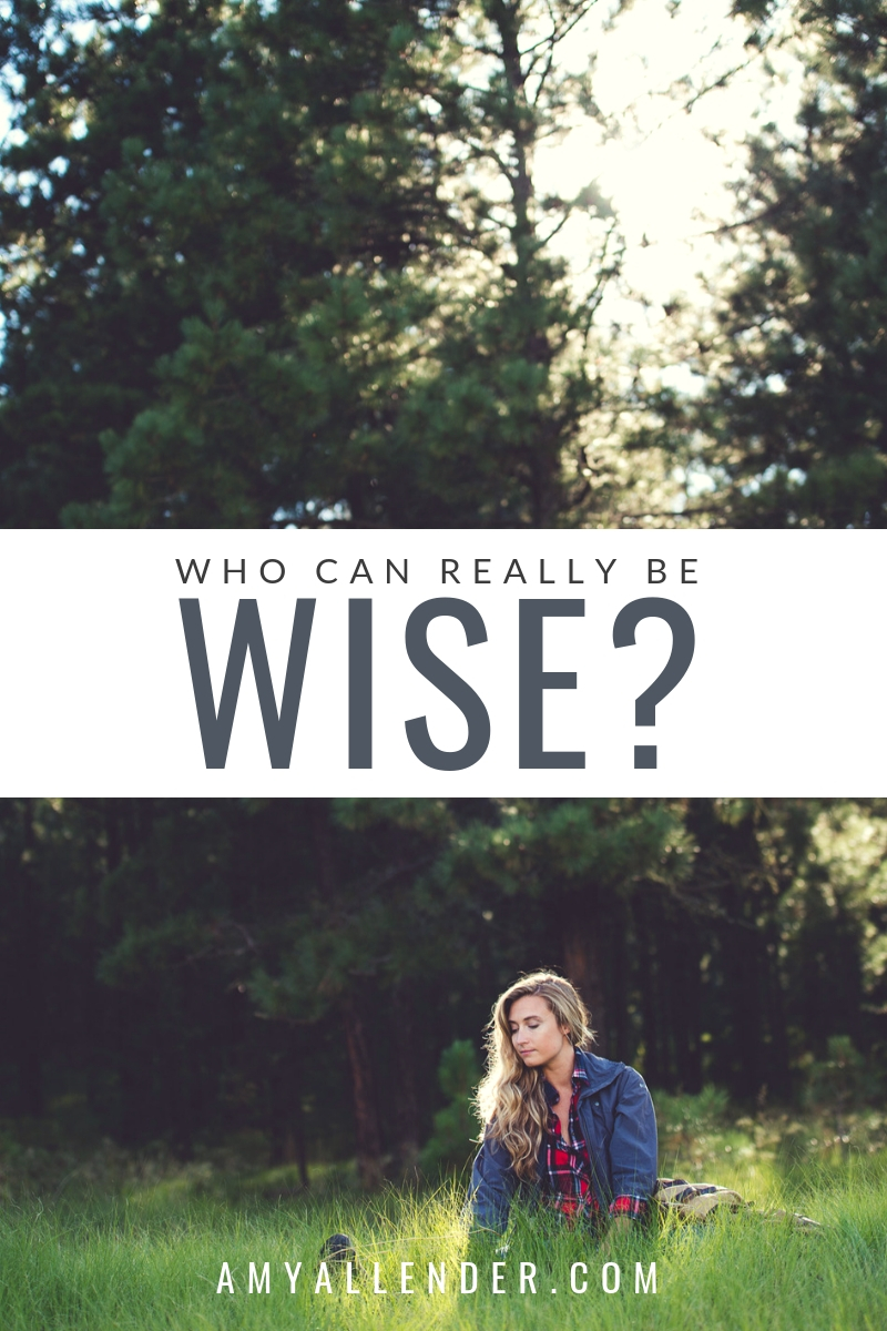 who can be wise - Amy Allender